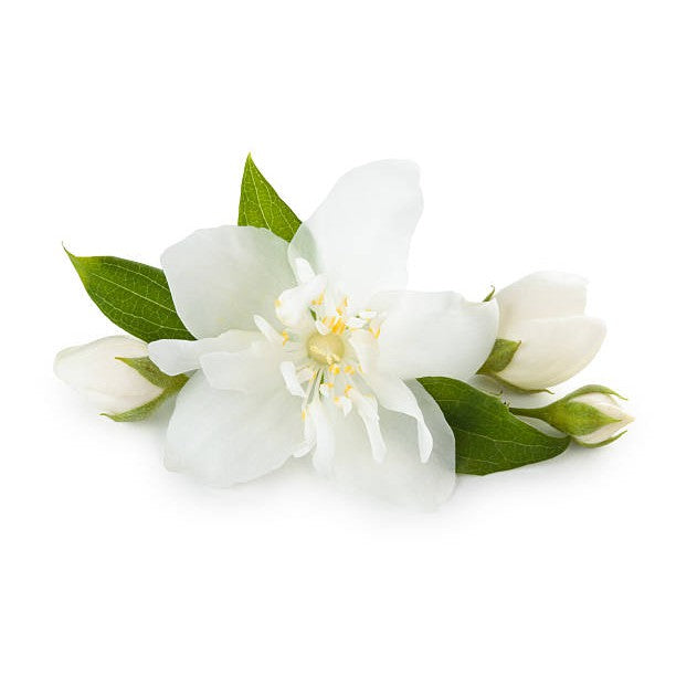 Ungerer Jasmine Flavour For Beverages/Food