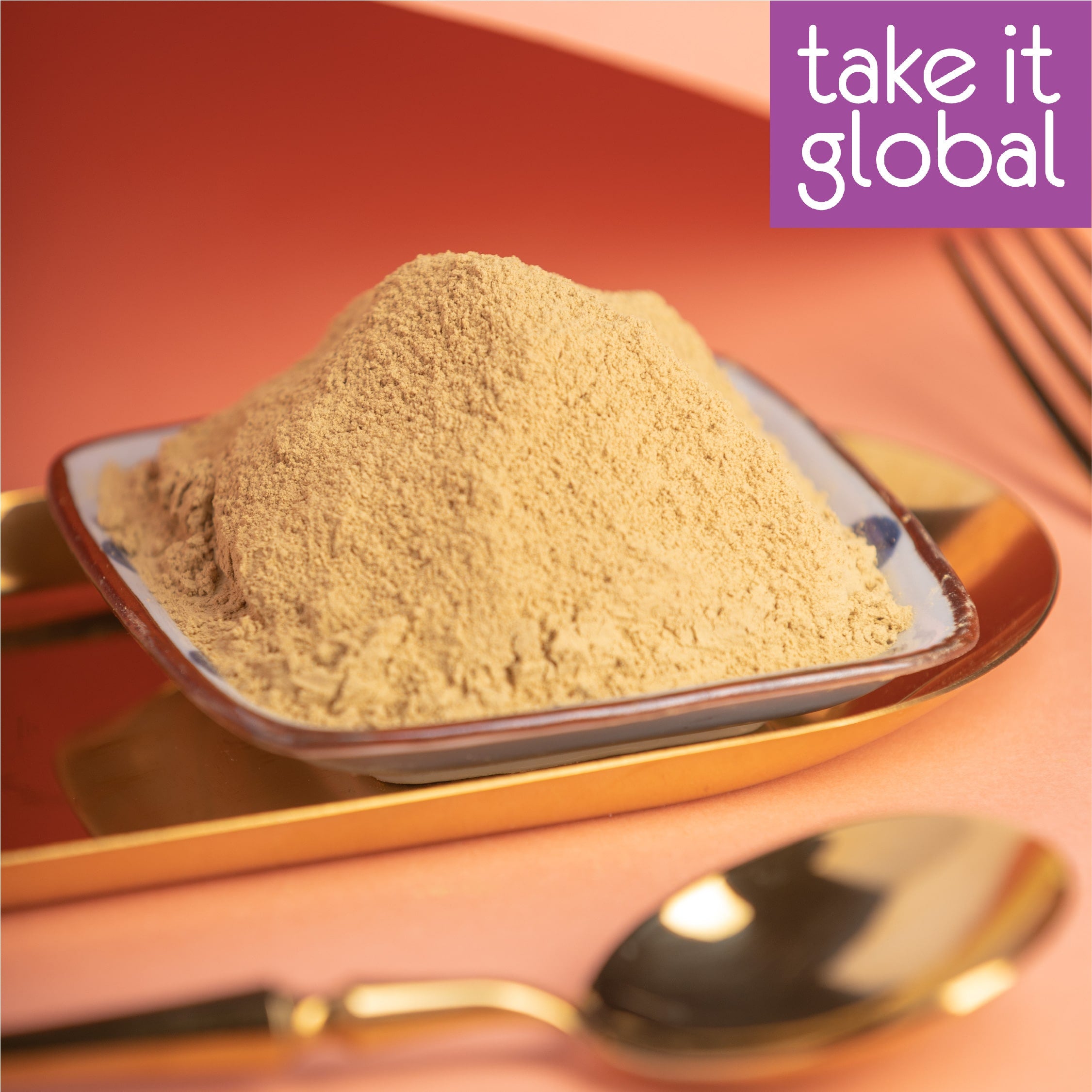 Haritaki Powder 诃子(He Zi)粉- Kadukkai Churanam / Ink Nut